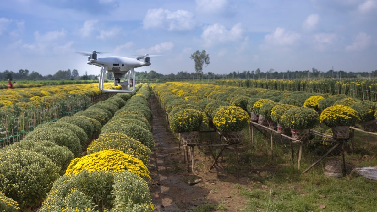 Agriculture & Forestry - Drone Lions